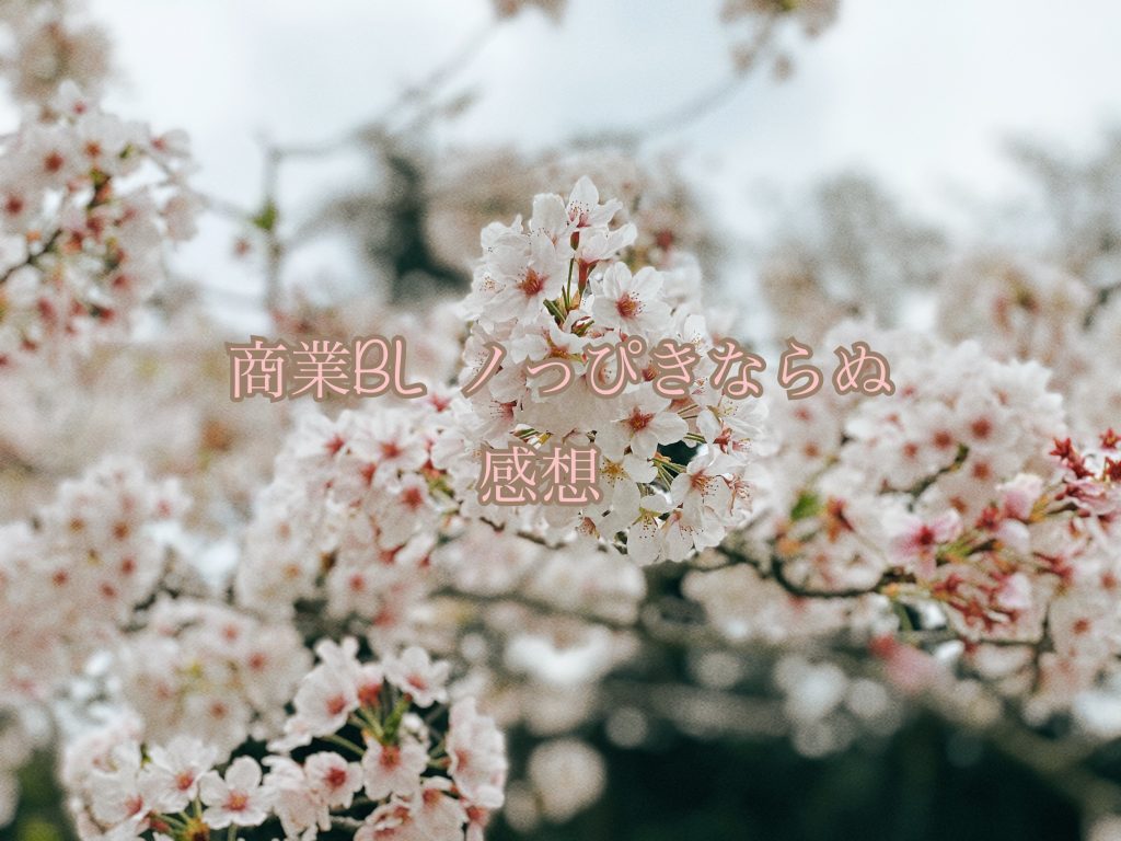 おすすめのBL商業コミック「ノっぴきならぬ」の感想レビュー | BLはお好きですか？